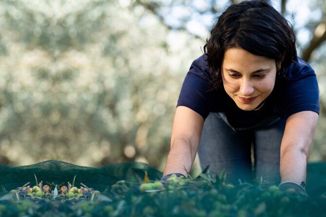 Private guided tour, olive grove in Salon de Provence. - Practical Details: Price, Duration, and Group Size