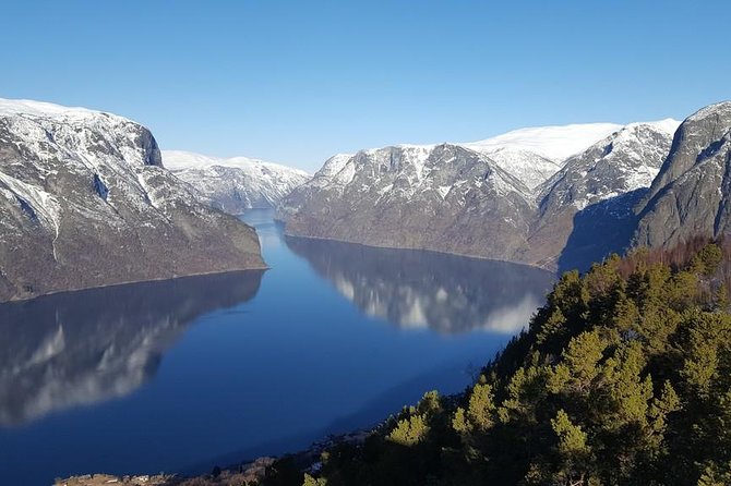 Private guided tour to Oslo - Nærøyfjord Cruise & Flåm Railway - Who This Tour Is Best For