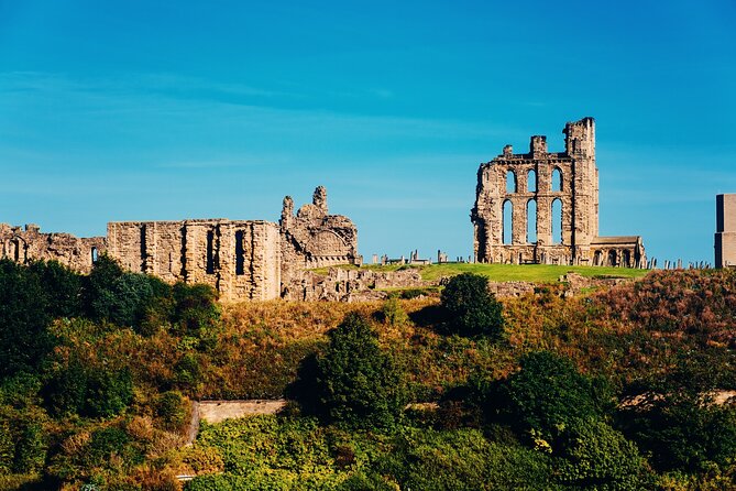 Private Half-day Coastal Tour from Newcastle to Veras World - Who Is This Tour Best Suited For?