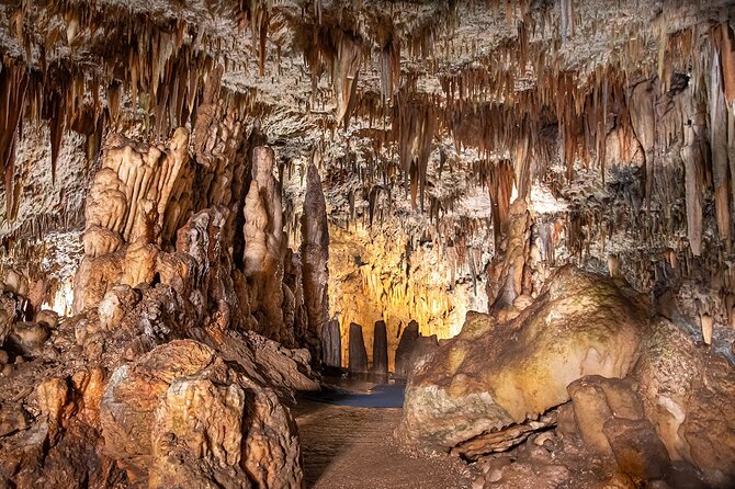 Private Half-day Kefalonia Highlights Tour - Analyzing the Value