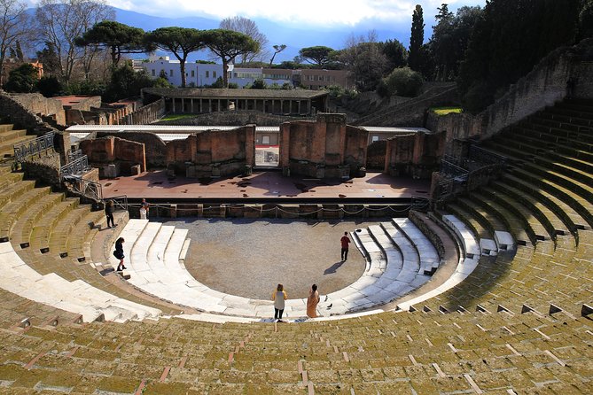 Private Half-Day Tour of The Pompeii Ruins Highlights and Mann - Who Will Enjoy This Tour?