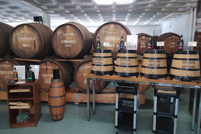 Private Half-Day Tour of Wine Fields in Portugal - Who Will Love This Tour?