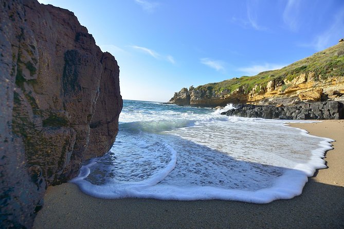 Private Half-Day Tour to Arrabida from Lisbon - The Practical Side: Value, Timing, and Comfort