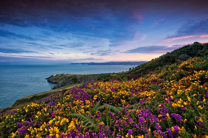 Private Howth Coastal Walk - The Sum Up