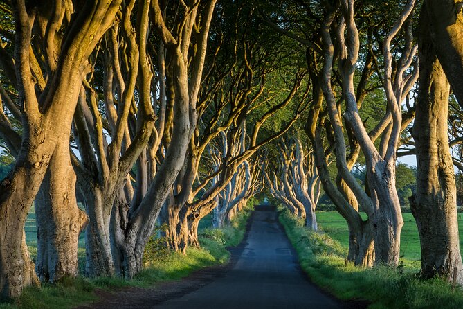 Private Northern Ireland Day Tour from Dublin - Why This Tour Won Our Respect