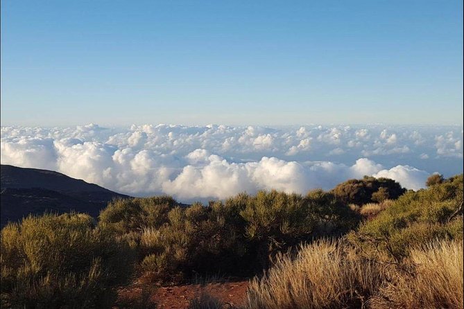 Private Shore Excursion in Tenerife from your Cruise Ship - Deep Dive into the Itinerary