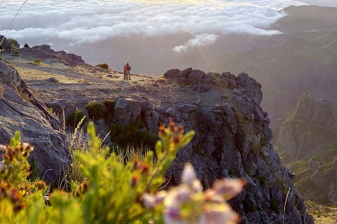 Private Sunrise Pico do Areeiro Half Day with easy levada walk - Who is This Tour Best For?