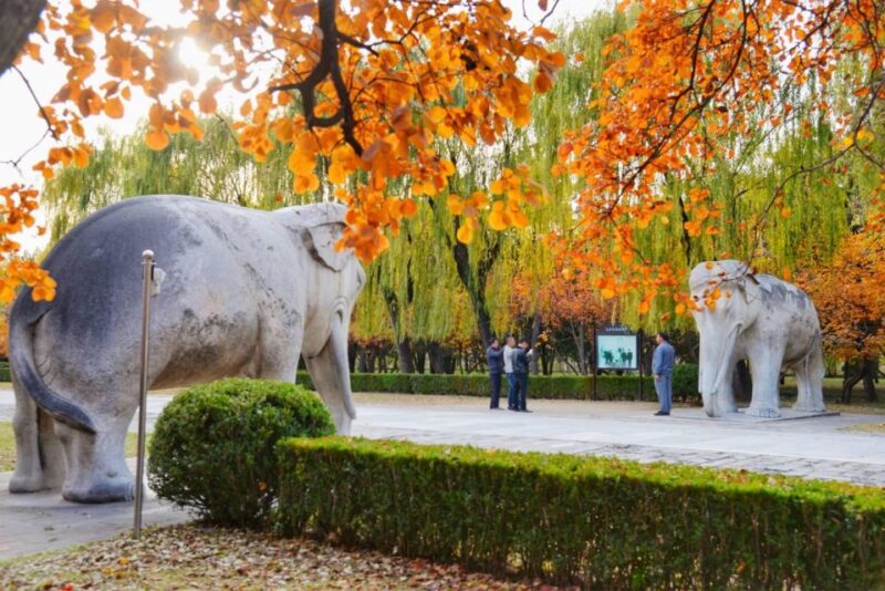 Private Tour: Badaling Great Wall and Dingling at Ming Tombs - Who Will Benefit Most from This Tour?