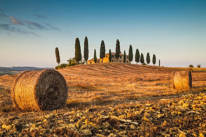 Private tour from Livorno port to San Gimignano & Volterra - Who Will Love This Tour?