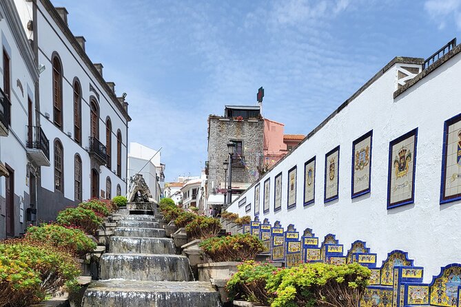 Private Tour from the Port of Las Palmas to Teror Firgas Arucas - Who Should Consider This Tour?