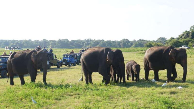 private tour guide in Sri lanka : 5 Days Tour Package - Breaking Down the Itinerary