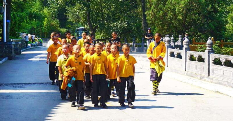 Private Tour: Longmen Grottoes, Shaolin Temple & Kungfu Show - What Makes This Tour Stand Out