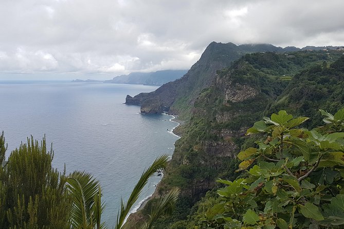 Private Tour The Biosphere Santana - The Sum Up