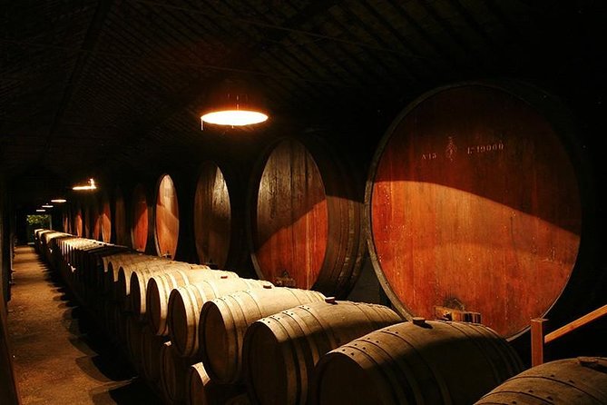Private Tour to Arrabida Sesimbra and Setubal with Wine Tasting - Final Thoughts
