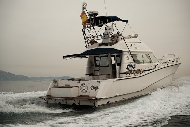 Private Tour with Dolphin Watching in Algeciras Bay - Detailed Itinerary and Experience