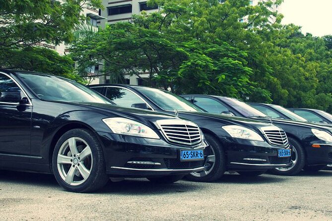 Private Transfer from The Hague City to Schiphol Airport - What to Expect During Your Journey