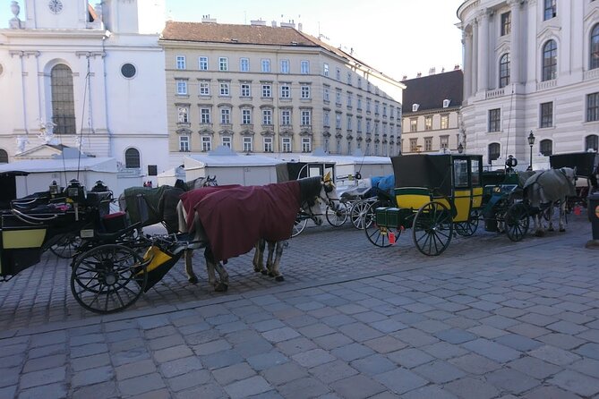Private Transfer from Venice to Vienna or Vienna to Venice - Who Should Consider This Service?