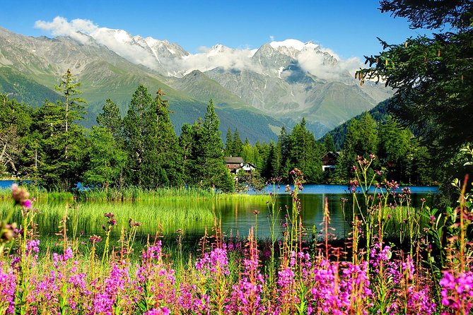 Private Trip from Geneva to Swiss Riviera Montreux & Chamonix - The Itinerary in Detail