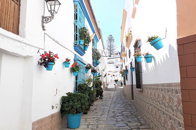 Private Trip in Gibraltar and Estepona from Marbella - Who Will Love This Tour?