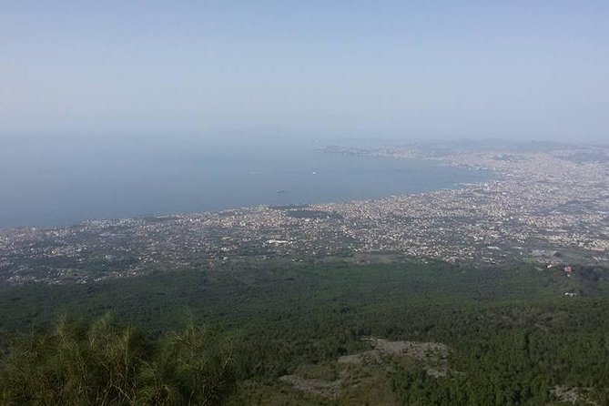 Private Vip Tour of Pompeii Day Trip From Rome - Deep Dive into the Itinerary