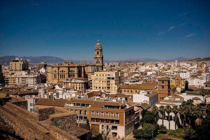 Private Walking Tour in Málaga - The Bottom Line