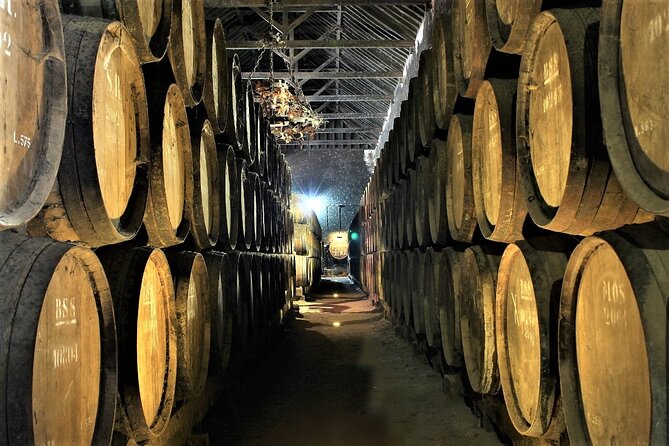 Private Wine Tasting in the Setúbal Wine Region, from Lisbon - Who Is This Tour Best For?