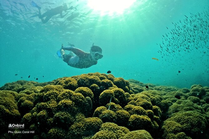 PRO-SNORKELING to Explore Hidden Coral Reefs (MAX 12 PAX) - An In-Depth Look at the Snorkeling Experience