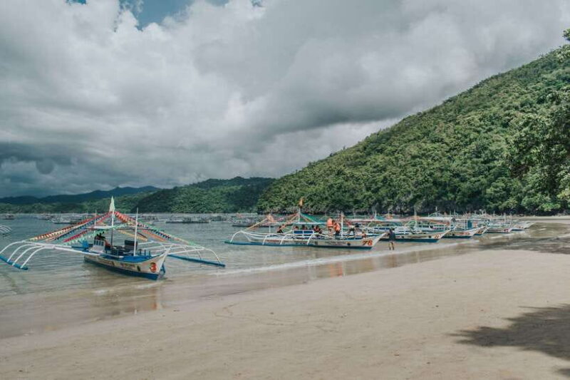 Puerto Princesa: Private Underground River and Cowrie Tour - What Does the Tour Cost and What’s Its Value?