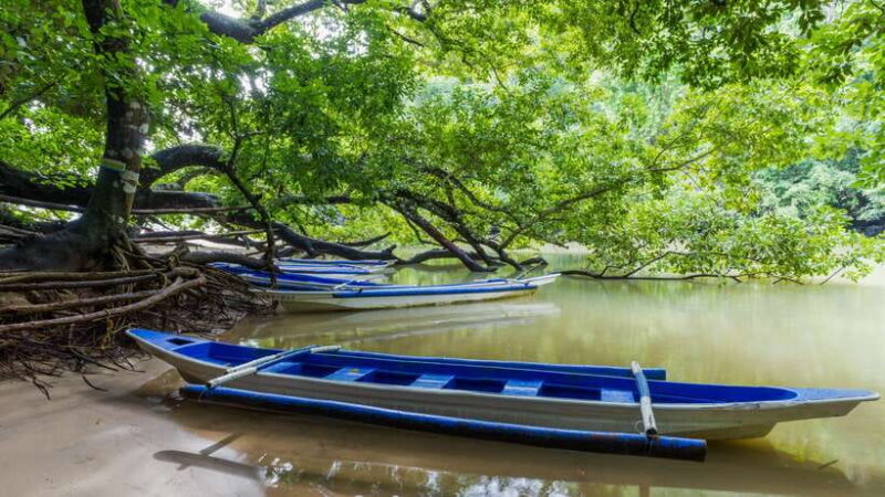 Puerto Princesa Underground River Tour in Palawan - What Makes This Tour Stand Out