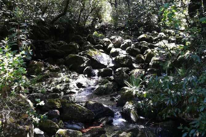 Queimadas-Caldeirão Verde - Who Will Love This Tour?