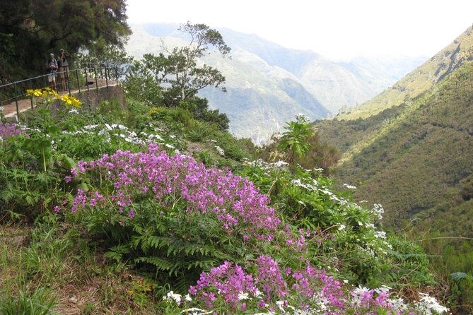 Rabaçal / Risco / 25 Fountains Full-day walk - Who Will Love This Tour?
