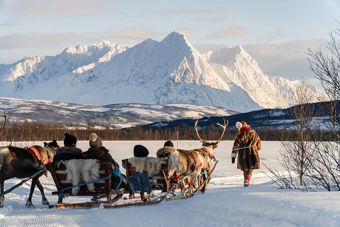 Reindeer Sledding and Feeding with Sami Culture in Tromso. - The Experience and Its Value