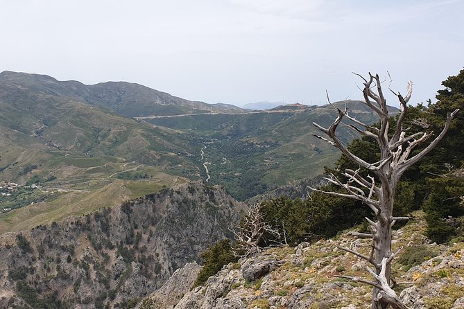 Rethymno Land Rover Safari with Lunch and Drinks - What to Expect at Each Stop