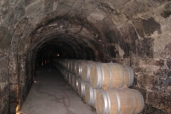 Ribera del Duero Wineries Guided Tour & Wine Tasting from Madrid - Who Will Love This Tour?