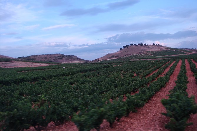 Rioja Wine Country Day Trip - Frequently Asked Questions