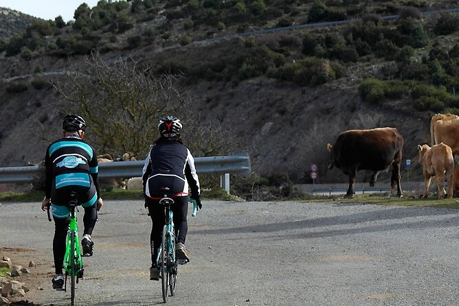 Road, Trekking or E-bike Bike Rental in Cagliari - Who Will Love This?