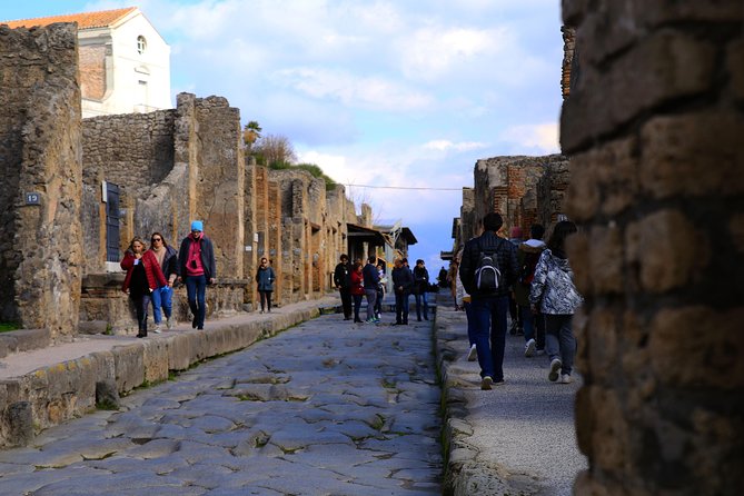 Rome to Pompeii & Herculaneum Trip with Hotel Pickup & Skip-the-line Tickets - The Itinerary in Detail