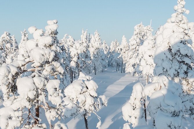 Rovaniemi: Winter Wonderland Vikaköngäs Hiking Tour & BBQ - Discovering Rovaniemis Winter Wonderland