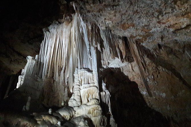 Saint-Guilhem village and cave day tour - Analyzing the Value and Practicalities