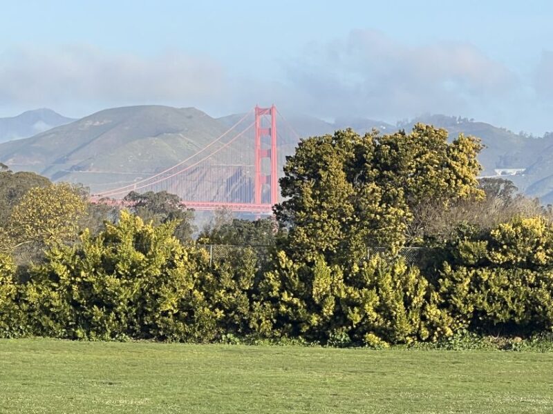 San Francisco: Major Landmarks Private Sightseeing Tour - A Well-Balanced Itinerary for First-Time and Repeat Visitors