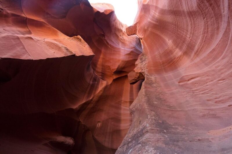 San Francisco: Yosemite, Las Vegas, Bryce & Zion, 6-Day Tour - Who Will Love This Tour?
