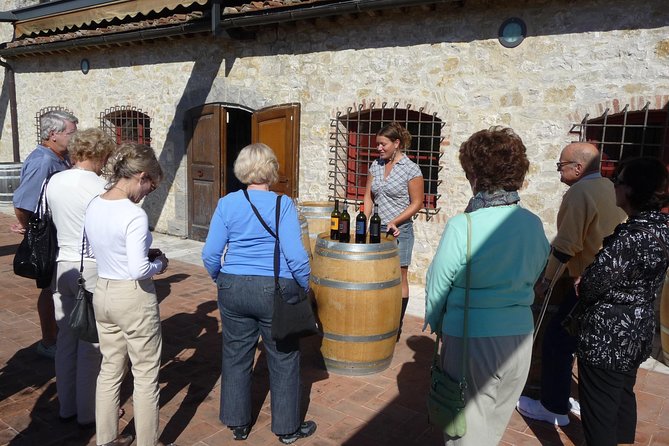 San Gimignano and Chianti Classico Wine and Food PRIVATE TOUR from SIENA - San Gimignano: The Towered Town