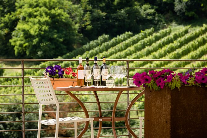 San Gimignano: Chianti wine tasting - Who Should Consider This Tour?