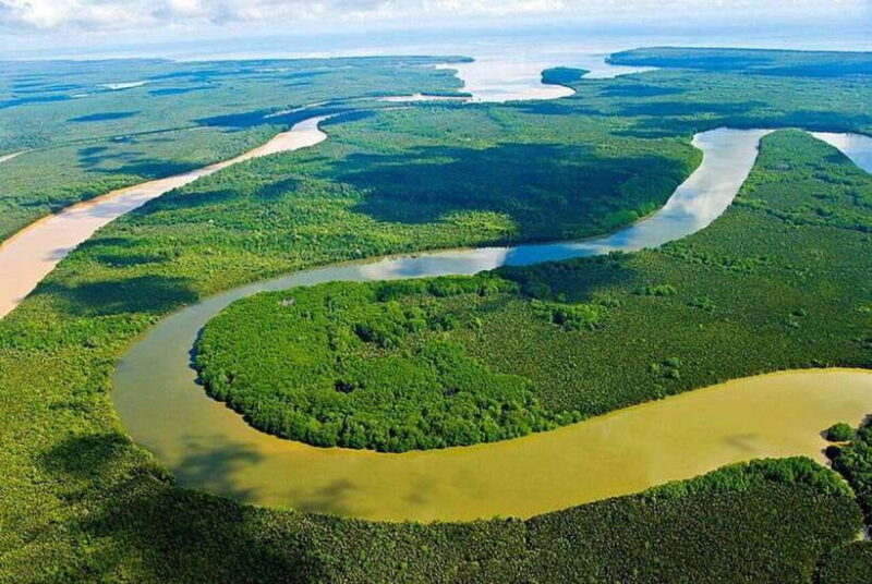 Sandakan: Kinabatangan River Wildlife Cruise with Lunch - Wildlife You Might Encounter