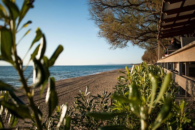 Sandy Shores Shuttle: Your Gateway to Kourouta Beach - What Do Travelers Say?