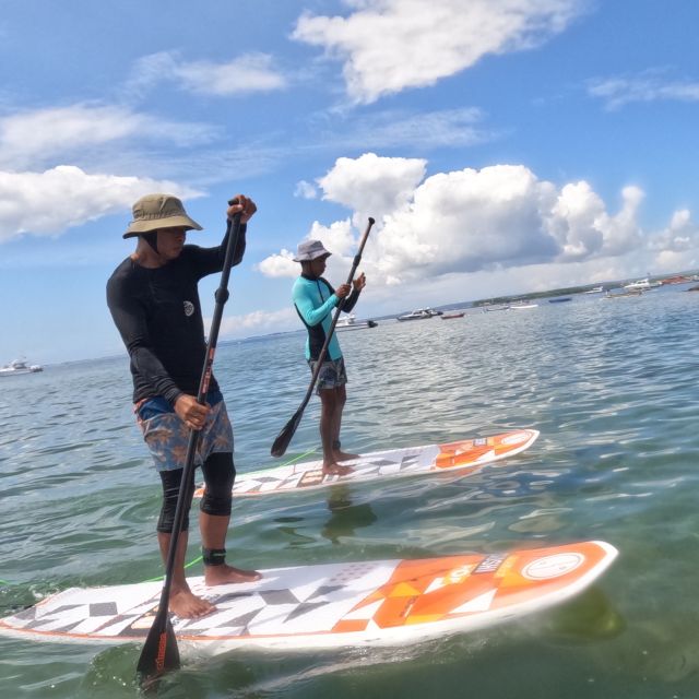 Sanur : Stand Up Paddleboard - What to Expect: A Detailed Breakdown