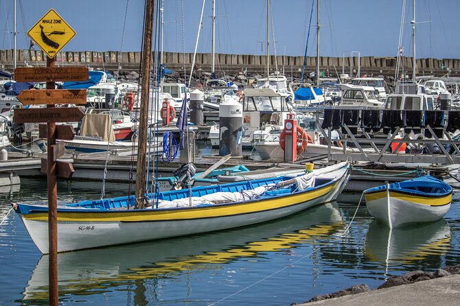 São Miguel: Azores Whaling Heritage Tour - Final Thoughts
