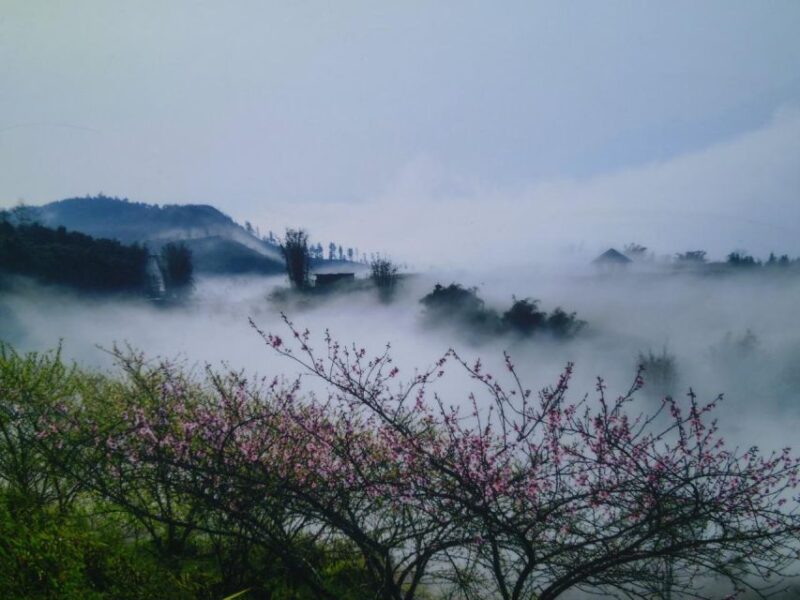 Sapa 3-Day Trekker - Day Two: Challenging Hikes and Village Hopping