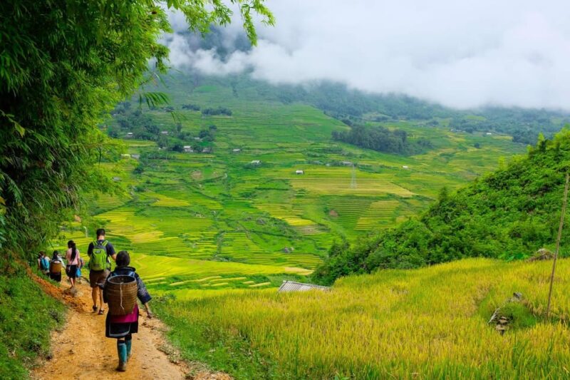 Sapa beautiful rice field, village - Easy walking kid,senior - Exploring Sapa’s Rice Terraces and Villages