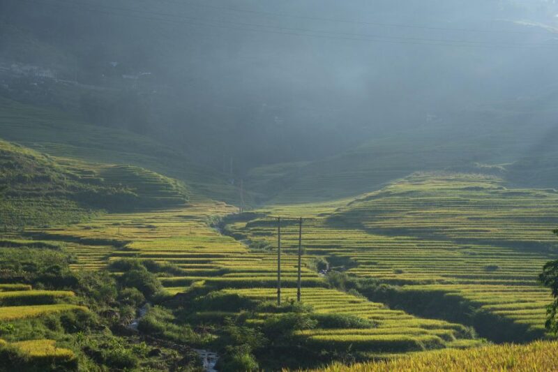 Sapa Half Day hard trekking villages trip with lunch & guide - What To Expect